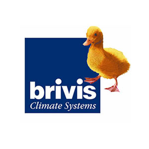 Brivis